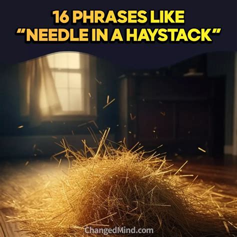 16 Fascinating Phrases Like “needle In A Haystack”