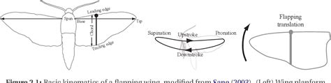 Figure 1 1 From Fluid Structure Interaction Modelling Of Flapping Wings Development And