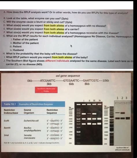 Solved A How Does The Rflp Analysis Work Or In Other