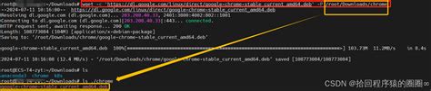 Ubuntu下载安装chrome浏览器chrome Ubuntu Csdn博客
