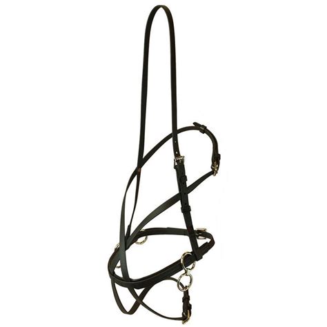 Beta Figure 8 Combination Big Dees Tack And Vet Supplies