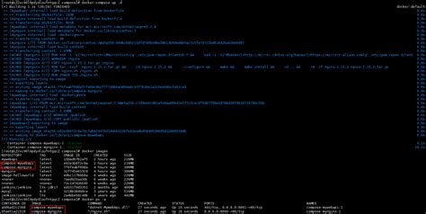 容器化 Docker容器编排 Docker Compose Csdn博客