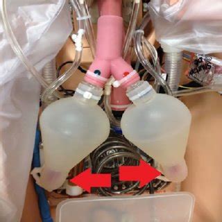 The Location Of The Sensors Download Scientific Diagram