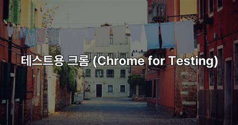 테스트용 크롬 Chrome For Testing 박종훈 기술블로그