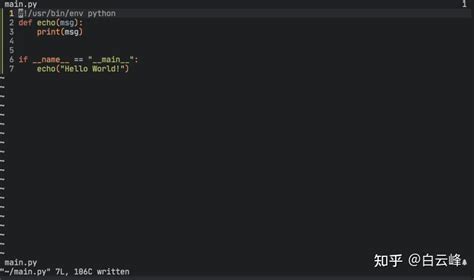 Neovim 使用 Lsp 取代 Vscode 知乎