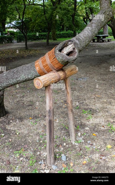 A Tree With A Man Made Support Stock Photo Alamy