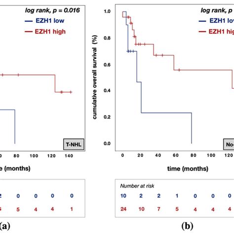Ezh2 Protein Expression H Score According To Clinicopathological Download Scientific Diagram