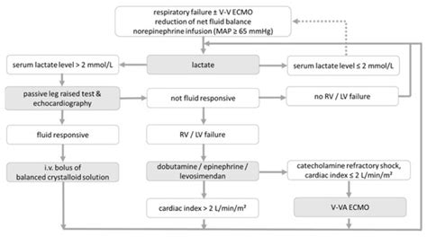 Vasoactive Inotropic Score As A Prognostic Factor During Cardio Respiratory Ecmo