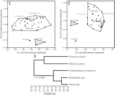 1 Bivariate Plot Of Principal Components 1 And 2 And 2 Bivariate Download Scientific