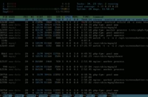 Htop An Interactive Process Viewer