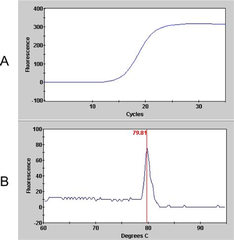 Results Of Amplification Curve And Melt Curve Analysis In Qpcr From