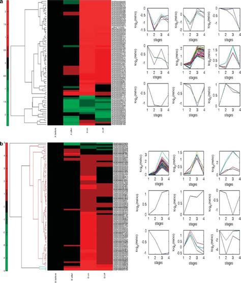 Heat Map And Hierarchical Clustering Of The Relative Protein