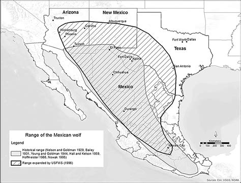 Mexican Grey Wolf Map The Old Map For Warrior Wolves Before Thunder