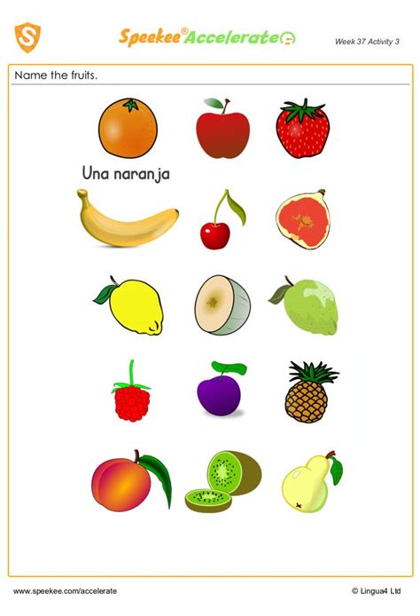 Fruits In Spanish Worksheet Printable And Enjoyable Learning