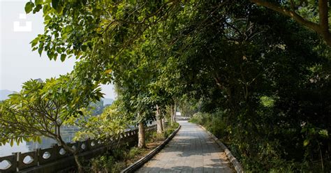 낮에는 푸른 나무와 콘크리트 울타리 사이의 회색 콘크리트 통로 사진 Unsplash의 무료 닌빈 이미지