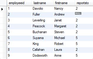 Using Sql Self Join To Join A Table To Itself