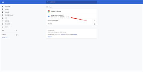 selenium安装使用详解 selenium默认放哪的 CSDN博客