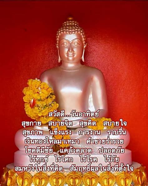 ปักพินโดย Thassana Chaleewan ใน 01สวัสดีวันอาทิตย์ สุขสันต์วันอาทิตย์ สวัสดีตอนเช้า วันอาทิตย์
