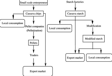 Marketing Structure Of Cassava In Thailand Download Scientific Diagram