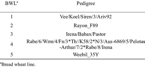 Origen Of Experimental Bread Wheat Lines Download Table