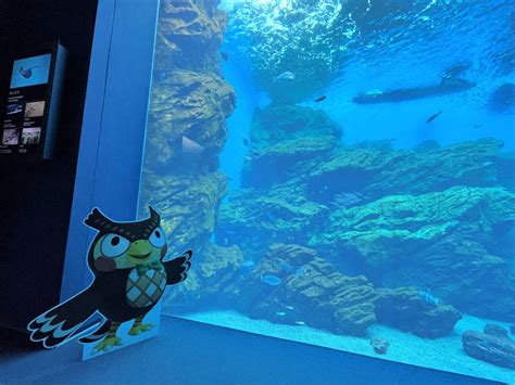 【宮城県・仙台市】仙台うみの杜水族館：あつまれどうぶつの森コラボイベント たびめもり