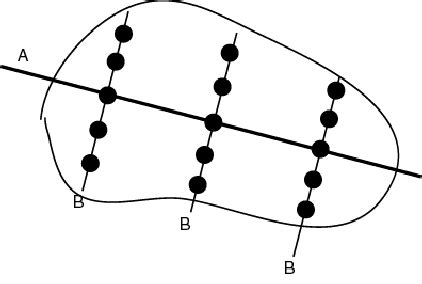 Transect Based Point Sampling Regime Indicating The Longitudinal Download Scientific Diagram