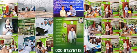 ມີວັດບໍ່ 😅 ຢາດີເມດຕາຢາດີເບົາຫວານx2 By ໄທຊຳເໜືອ ເຊີແນວ Facebook