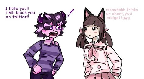 What Did Meowbahh Do To Technoblade How Old Is He Twitter