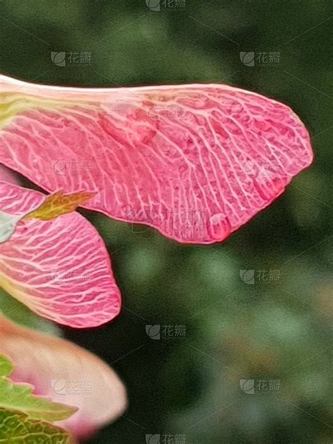 大自然最美丽和最有益的现象 大自然最美丽和最有益的现象