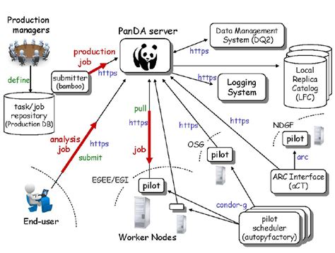 Giant Panda Diagram
