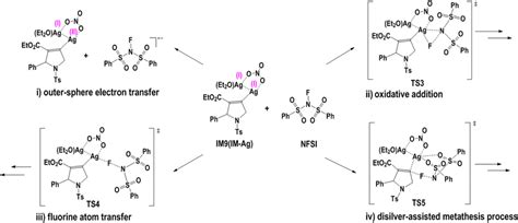Probable Pathways For The Reaction Of Im9 With Nfsi Download