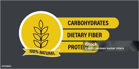 헬스케어 추상 100 자연 탄수화물 식이 섬유 및 단백질 벡터 아이콘 세트 식이 섬유에 대한 스톡 벡터 아트 및 기타 이미지 식이 섬유 100퍼센트 건강한 생활방식