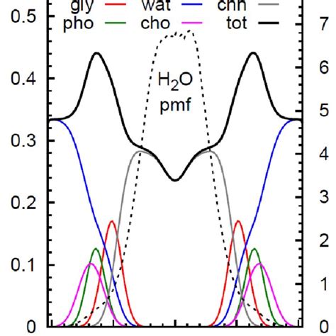 Pdf Molecular Dynamics Simulations Of Membrane Permeability