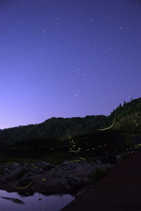 ホタルと星空奈良県山添村 ホシフルサト