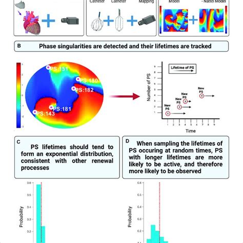 A The Experimentally Acquired Data Clinically Acquired Data And