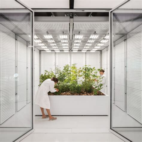 Neri Oxman Calls For A Radical Realignment Between Grown And Built Environments