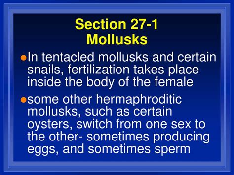 Ppt Biology Chapter 27 “mollusks And Annelids” Powerpoint