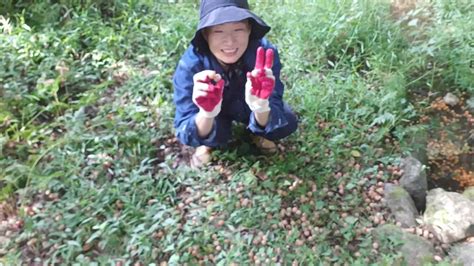 소중한 은행 나눔 해드립니다 Youtube