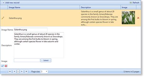 telerik web forms grid how to common binaryimages and radasyncupload in