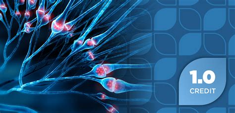 Key Updates In Nccn Guidelines Surrounding Dlbcl Treatment Ajmc