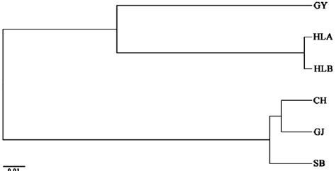 Dendrogram Using The Upgma Method Based On Neis 1972 Genetic