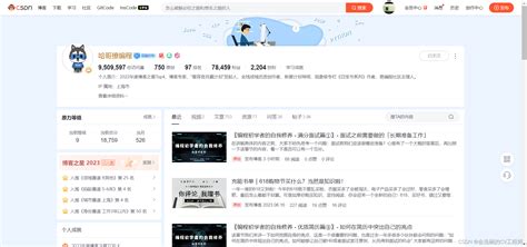 论洗碗哥在CSDN摸滚打爬的 个日夜 CSDN博客