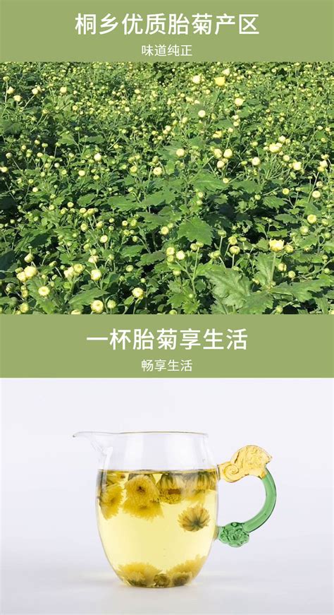 桐乡胎菊价格 批发 公司 陕西谷塬农业科技有限公司
