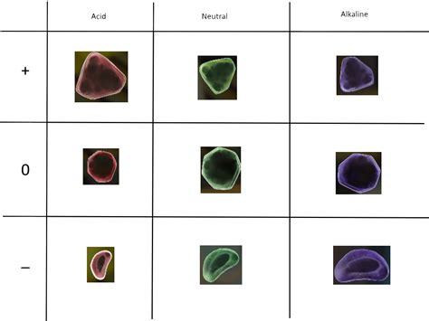 Forever Skies Virus Analyzer Cheat Sheet Guide Steamah