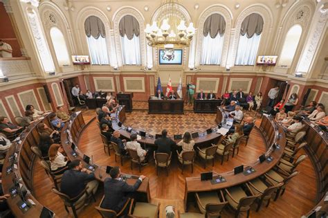 თბილისის საკრებულო Tbilisi City Assembly თბილისის საკრებულოს სახელდების და სიმბოლიკის