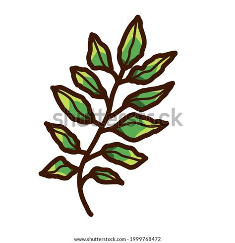 Plant Leaf Branch Vector Illustration Icon Stock Vector Royalty Free
