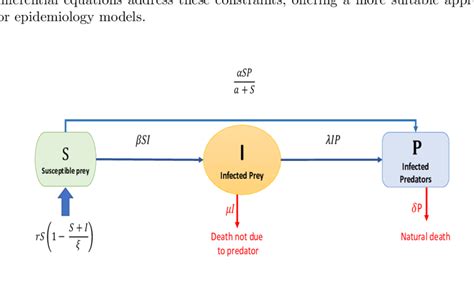 Flow Diagram Of The Sip Model With Transition Rates Download