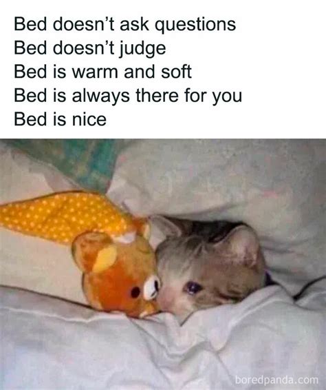 Spot On Introvert Memes Shared By This Popular Instagram Account Bored Panda