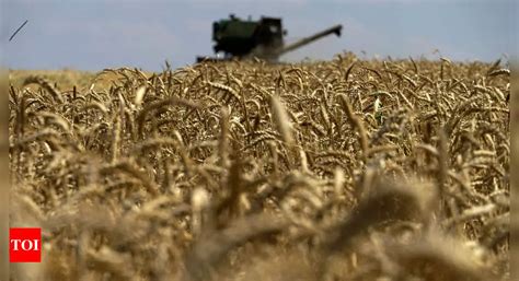 Russia Russia Says It Resumes Participation In Ukraine Grain Deal