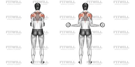 How To Do Dumbbell Standing Scapular External Rotation Techniques Benefits Tips And Tricks